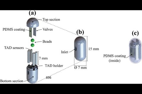 Homepage | Department of Electrical and Computer Engineering